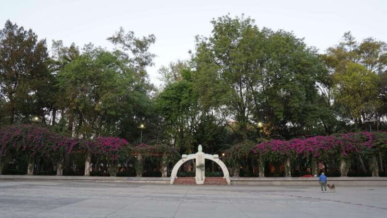 Mexico City: 19 City Highlights Bicycle Tour - FAQ