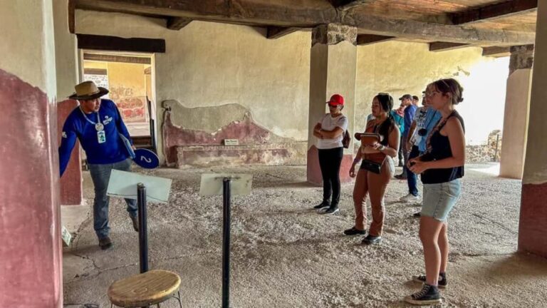 Mexico City: Afternoon Tour to Teotihuacan - Experience Overview: What to Expect from the Tour