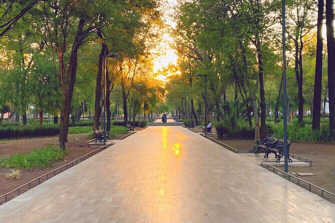 Mexico City Centro Historico Private Tour - Final Thoughts