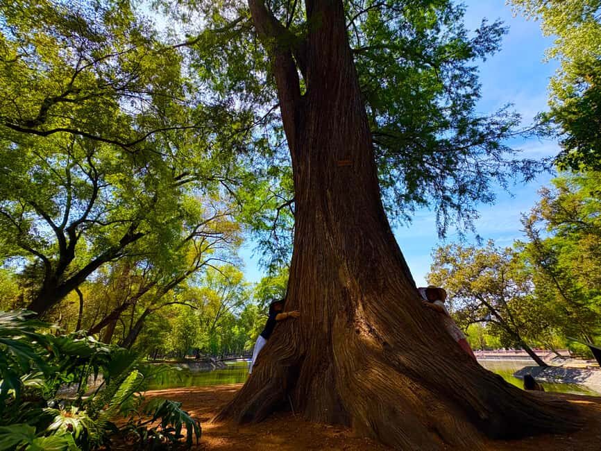 Mexico City: Chapultepec Castle and Forest Guided Tour - Practical Tips for a Smooth Experience