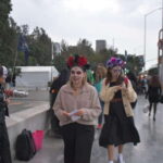 Mexico City: Day of the Dead Guided Tour - Practicalities and Logistics