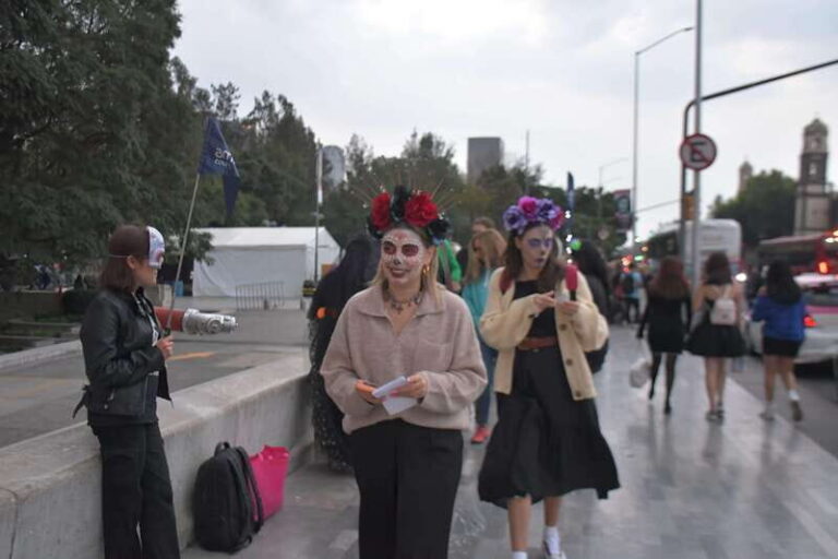 Mexico City: Day of the Dead Guided Tour - Practicalities and Logistics