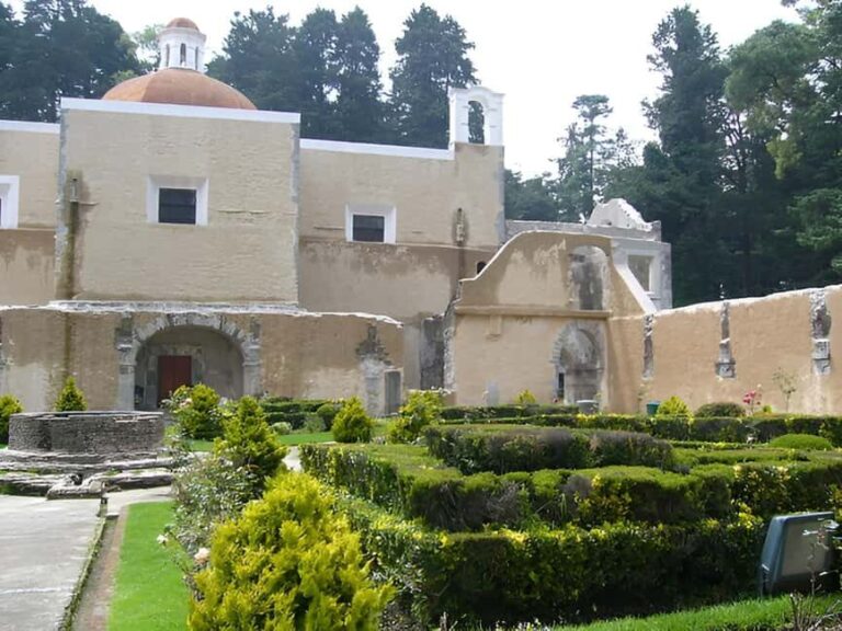 Mexico City: Desierto de los Leones Hike & Ex-Convent Tour - What To Keep in Mind