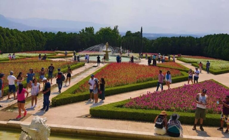 Mexico City: Explore Mexican Gardens and Tepoztlan Town - Who Is This Tour Best For?