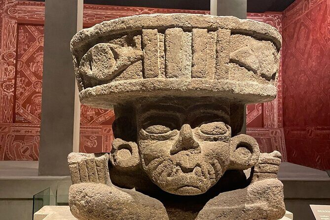 Mexico City Express - Authentic Insights from Reviewers and What They Tell Us