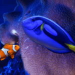 Mexico City: Fast Pass Ticket to Acuarium Inbursa - How the Experience Feels