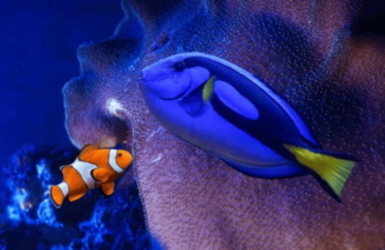 Mexico City: Fast Pass Ticket to Acuarium Inbursa - How the Experience Feels