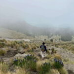 Mexico City: Hiking to la Malinche private day tour - Authentic Experiences and Real Insights from Reviewers