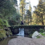 Mexico city: Hiking tour to Desierto de los leones - Detailed Breakdown of the Itinerary