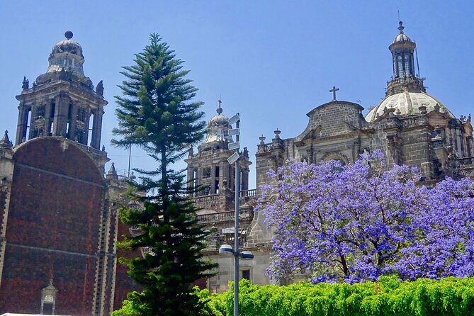 Mexico City History Tour with a Local Expert: 100% Personalized & Private - FAQ