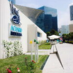 Mexico City: Inbursa Aquarium optional Round trip transfer - Who Will Enjoy This Tour?