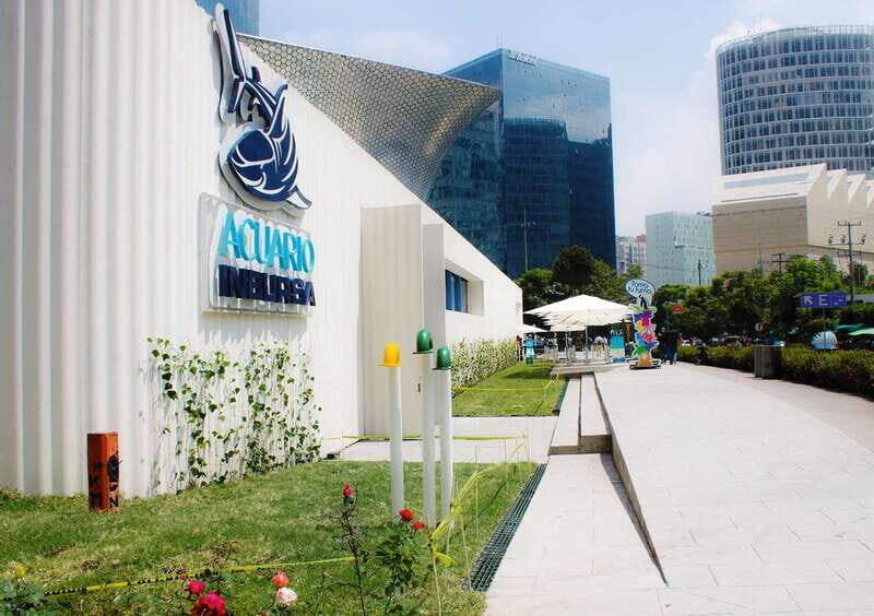 Mexico City: Inbursa Aquarium optional Round trip transfer - Who Will Enjoy This Tour?