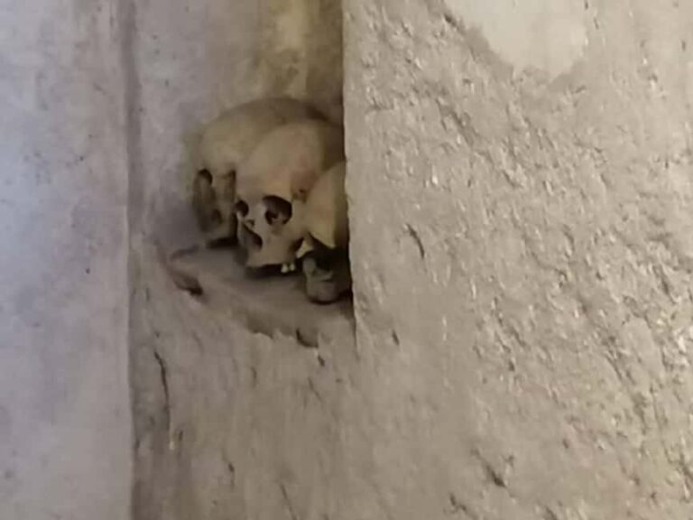 Mexico City: Museum of El Carmen Tour with Ticket - Final Thoughts