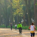 Mexico City: Private Chapultepec Park Bike Tour - Major Landmarks and Hidden Gems