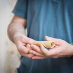 Mexico City Street Food: A Beginner's Guide - What to Expect from the Experience