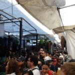 Mexico City: Tepito the Heart of Mexican Culture Guided Tour - Tepito Cultural Center and the Tequila Museum