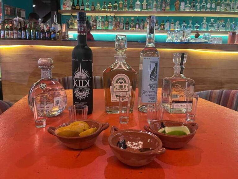 Mexico City: Tequila and Mezcal Museum Tour with Tasting - A Deep Dive into the Experience