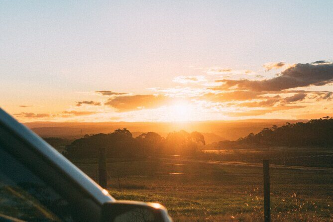 Mexico City to Oaxaca - Private Transfer with Optional Sightseeing - Final Thoughts