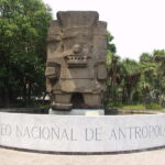 Mexico City tour & Anthropology Museum Tour - The Sum Up