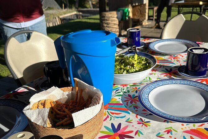 Mexico City: Xochimilco at sunrise + Breakfast and transportation - Learning and Planting for Sustainability