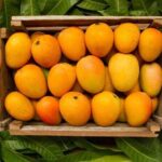 Mexico's Tropical Fruit Guided Tasting in Mexico City - The Sum Up