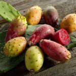 Mexico's Tropical Fruit Guided Tasting in Monterrey - Why Choose This Tour?