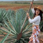 Mezcal Food Tasting Tour with Lunch Included - Key Points