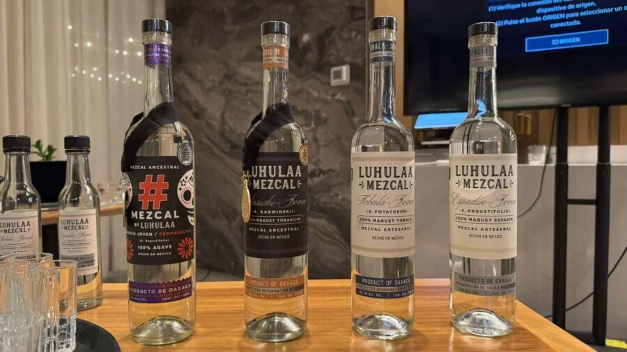 Mezcales tradicionales: Experiencia de Sabores con Historia - Deep Dive: What You Really Get for the Price