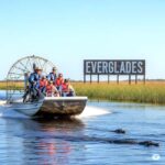 Miami: Everglades Airboat Alligator Tour with Transfer - The Details That Matter