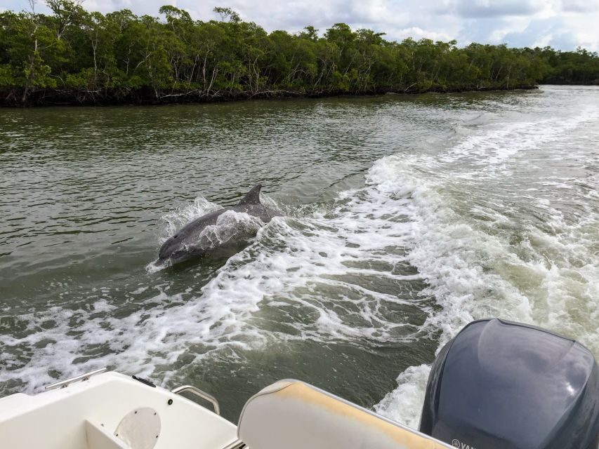 Miami: Everglades Full-Day Tour with 2 Boat Trips and Lunch - Transport, Group Size, and Overall Experience