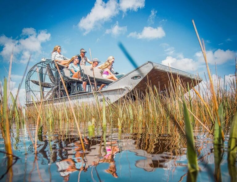 Miami: Everglades National Park Airboat Tour & Wildlife Show - Exploring the Itinerary and What to Expect