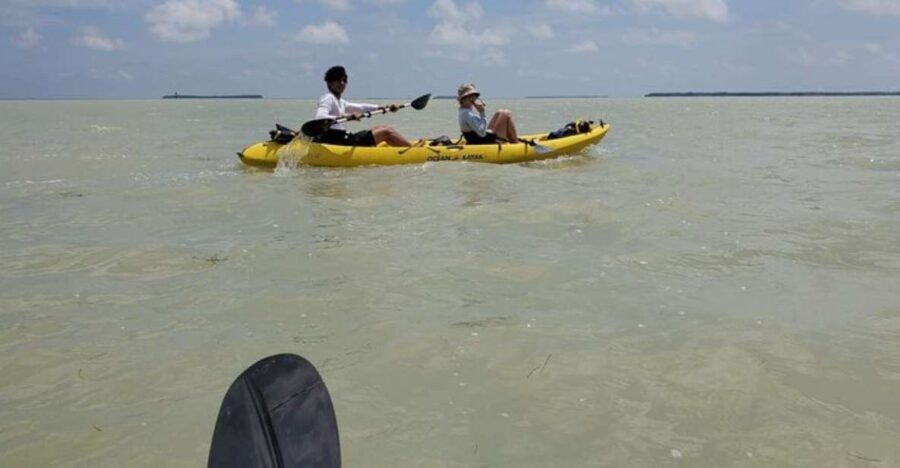Miami: Everglades National Park Hiking and Kayaking Day Trip - Who Should Consider This Tour?