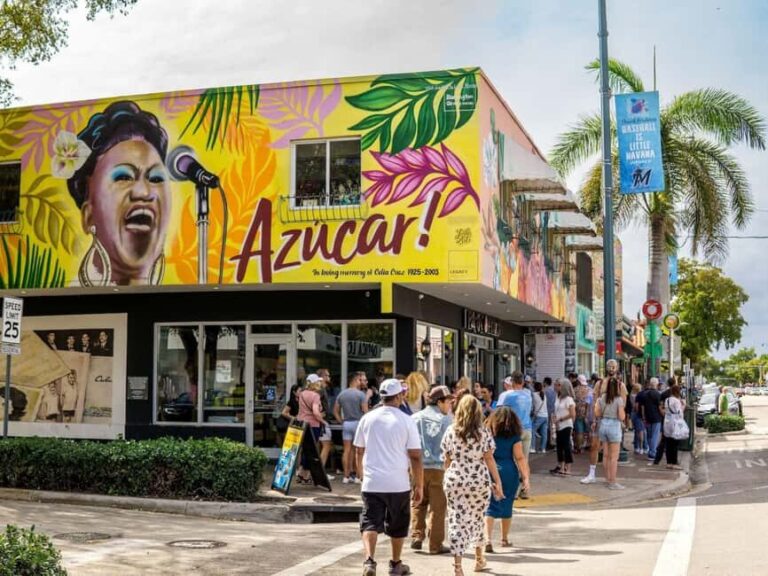 Miami: Explore Magic City in Style  2-Hour VIP Tour - The Experience: A Closer Look