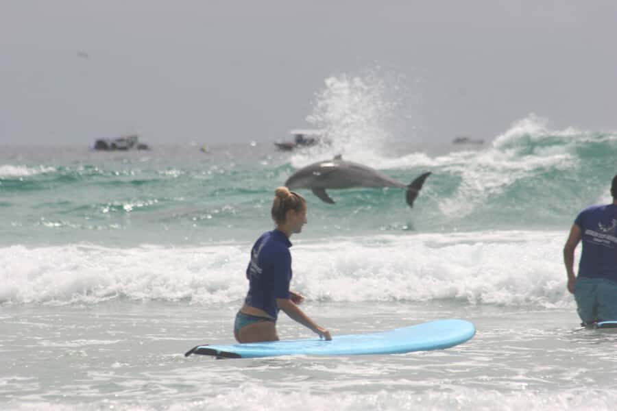 Miami: Group Surf Lesson - Who Should Book This Experience?