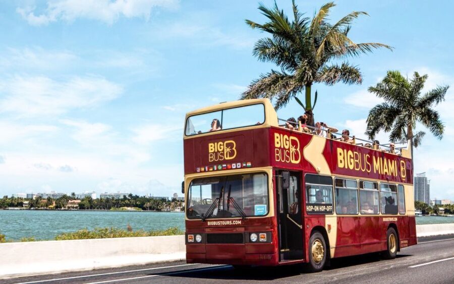Miami: Hop-on Hop-off Open-top Bus Tour and Optional Cruise - Practical Details & Tips