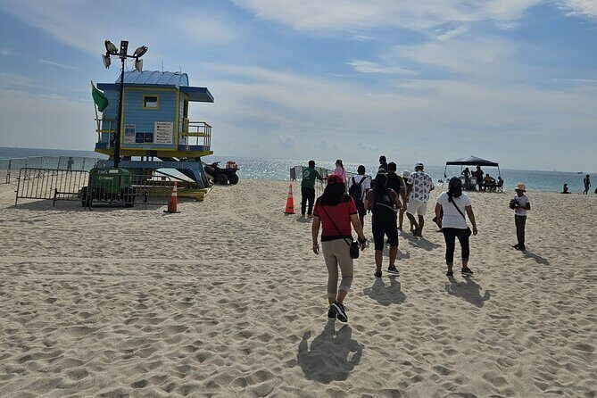 Miami Insider: Small Group City Tour with Optional Boat Cruise - Transportation and Group Size