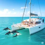 Miami: Key West Dolphin Watch or Snorkel Boat with pickup - The Value of This Tour