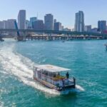 Miami: New Years Eve Fireworks Cruise on Biscayne Bay - In-Depth Look at the Experience