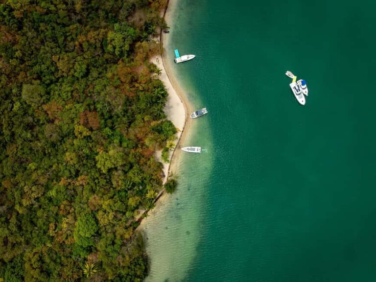 Miami Private Island Tour - Who This Tour is Best For