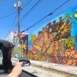 Miami: Private tour in a convertible Mustang in French - What makes this tour special?