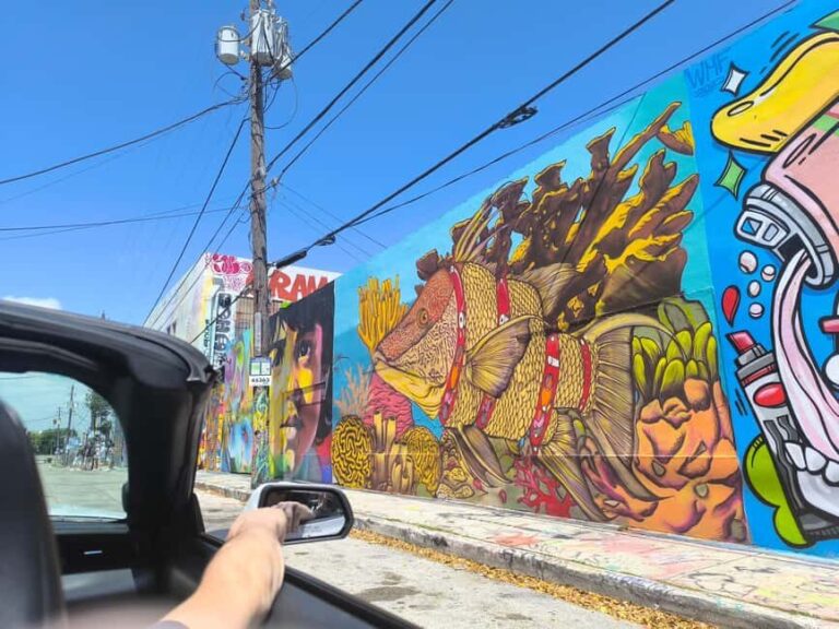 Miami: Private tour in a convertible Mustang in French - What makes this tour special?