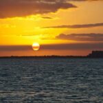 Miami: Skyline Sightseeing Cruise & Millionaire Houses - The Scenic Views and Close Encounters