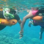 Miami Snorkeling for Beginners from Bayside Market Place - The Practicalities