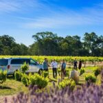 Micro-Group Barossa Valley Wine Tour from Adelaide - Final Thoughts