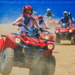 Migriño Beach And Dunes ATV Tour In Cabo By Cactus Tours Park - Exploring Playa Migriño: Beaches, Dunes, and Wildlife