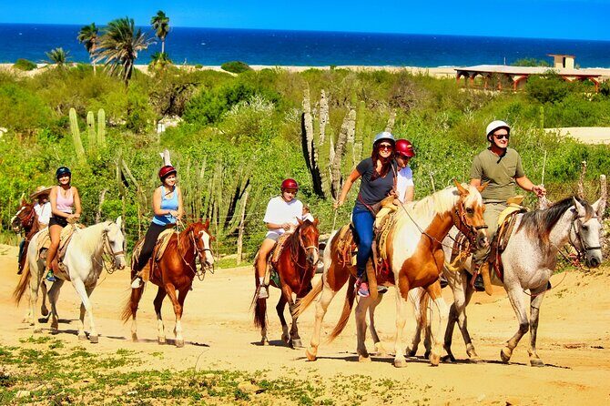 Migriño Beach Horseback Riding Experience - The Ride Along Migrino Beach