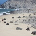 Migriño Beach Razor UTV Adventure - Why This Tour is Worth Considering