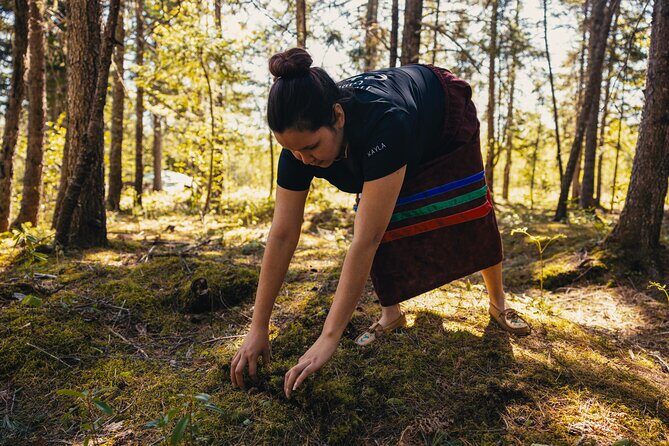 Mi'kmaq Heritage Path Tour - A Deep Dive into the Mikmaq Heritage Path Tour