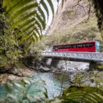 Milford Sound Coach & Cruise ex Te Anau Stunning Views with Lunch - Price & Value Analysis