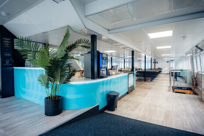 Milford Sound Cruise - What Makes This Milford Sound Cruise Special